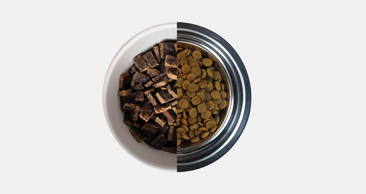 Air Dried and Kibble: What's The Difference? | Prime100