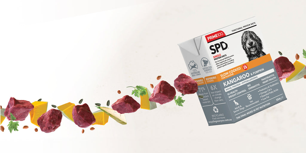 Prime100 | Making pets healthier and pet parents happier