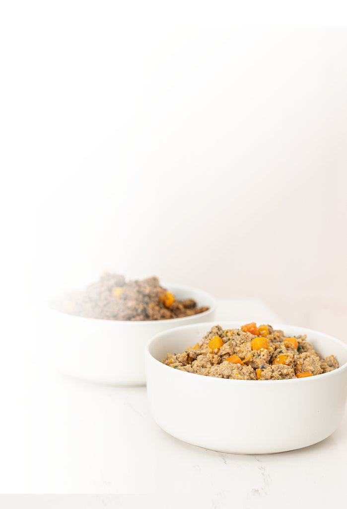 Prime100 | Making pets healthier and pet parents happier