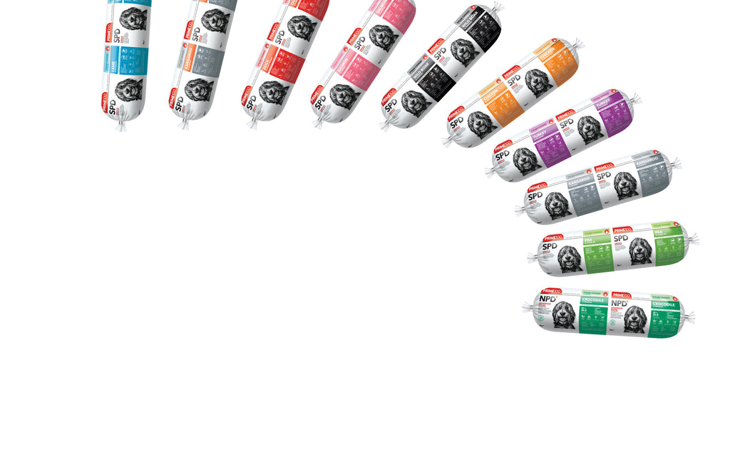 Prime100 | Making pets healthier and pet parents happier