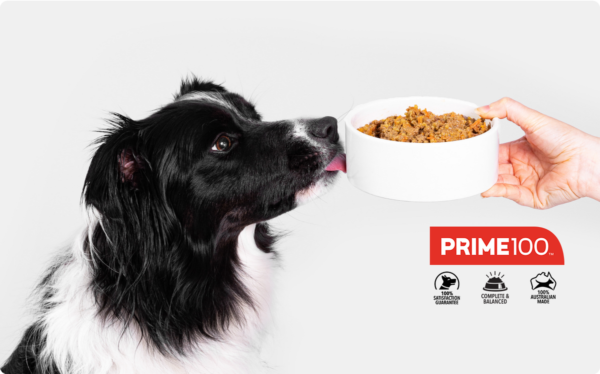 SPD™ Puppy Food Range | Prime100