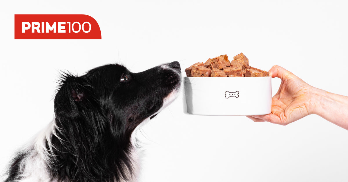 Our Product Range | Prime100